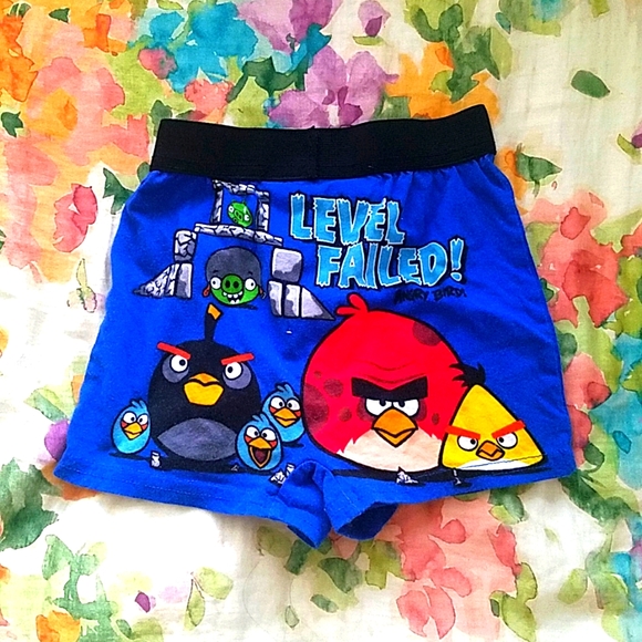 angry birds | Accessories | Nwot Angry Birds Blue Boys Boxer Briefs ...